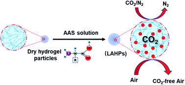 Next generation amino acid technology for CO2 capture - Journal of Materials Chemistry A (RSC ...