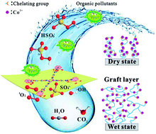 Boosting peroxymonosulfate activation via highly active and durable ...