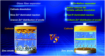 A cation selective separator induced cathode protective layer and ...