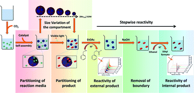 Operando systems chemistry reaction catalysis (OSCR-Cat) for visible ...