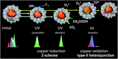 On the mechanism of photocatalytic reactions on CuxO@TiO2 core–shell ...