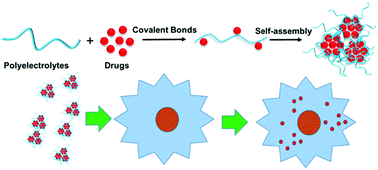 Controlled drug release from polyelectrolyte–drug conjugate ...