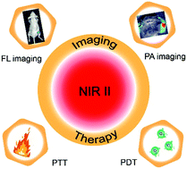 Tumor microenvironment-activated NIR-II reagents for tumor imaging and ...