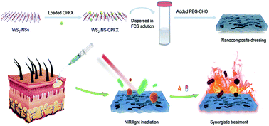 A near-infrared light-responsive multifunctional nanocomposite hydrogel ...