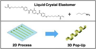 Liquid crystal elastomers as substrates for 3D, robust, implantable ...