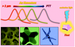 Galvanic replacement synthesis of multi-branched gold nanocrystals for ...