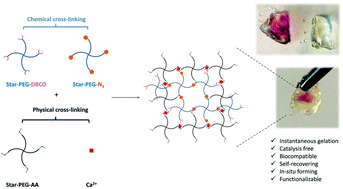 Self-recovering dual cross-linked hydrogels based on bioorthogonal ...