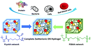 Complete zwitterionic double network hydrogels with great toughness and ...