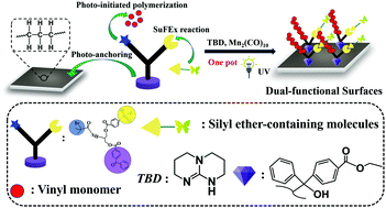 Tri-functional platform for the facile construction of dual-functional ...
