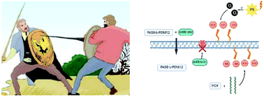 Antibiotic resistance mitigation: the development of alternative ...