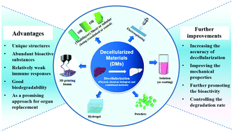 Applications of decellularized materials in tissue engineering: advantages, drawbacks and ...