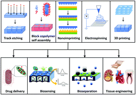 Porous polymeric membranes: fabrication techniques and biomedical ...