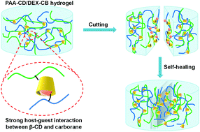 Self-healing supramolecular hydrogels through host–guest interaction between cyclodextrin and ...