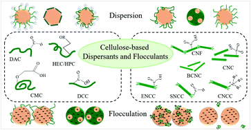 Cellulose-based dispersants and flocculants - Journal of Materials ...