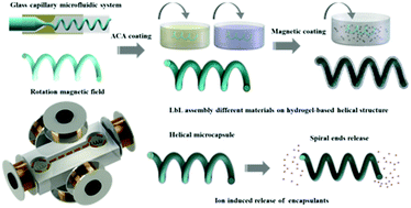 Multi-functionalized micro-helical capsule robots with superior loading ...