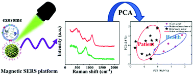A magnetic surface-enhanced Raman scattering platform for performing ...