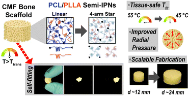 Shape memory polymer (SMP) scaffolds with improved self-fitting properties - Journal of ...