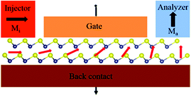 Manipulation of the Rashba effect in layered tellurides MTe (M = Ge, Sn ...