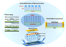 The role of self-assembled monolayers in electronic devices - Journal ...