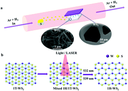 Phase selective CVD growth and photoinduced 1T → 1H phase transition in ...