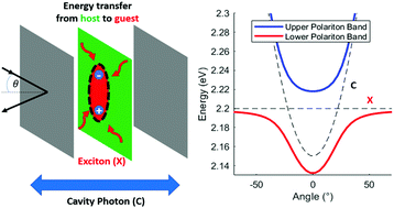 Strong coupling and energy funnelling in an electrically conductive ...