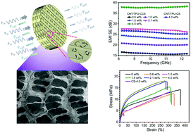 An electrically conductive polymer composite with a co-continuous ...