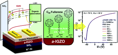 Microstructural modulation of organic passivation layers for metal ...