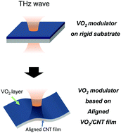 A flexible, multifunctional, active terahertz modulator with an ultra ...