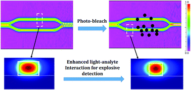 Photo-bleaching of optical waveguide polymers with dipolar chromophores ...