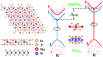 Valley splitting in the antiferromagnetic heterostructure MnPSe3/WSe2 ...