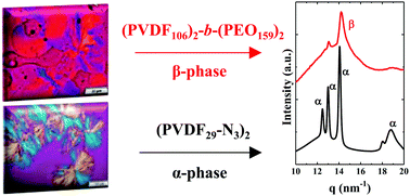 4-Miktoarm star architecture induces PVDF β-phase formation in (PVDF)2 ...