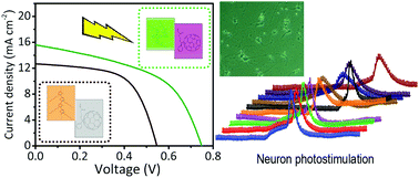 Bulk-heterojunction photocapacitors with high open-circuit voltage for ...