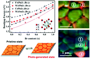 Toward mixed-halide perovskites: insight into photo-induced anion phase ...