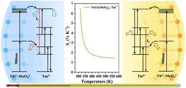 An ultrasensitive luminescent nanothermometer in the first biological ...