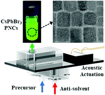 Synthesis of CsPbBr3 perovskite nanocrystals with acoustically actuated ...