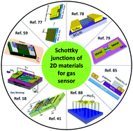 Schottky diodes based on 2D materials for environmental gas monitoring ...