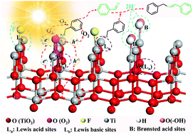 Synergy of surface fluorine and oxygen vacancy of TiO2 nanosheets for ...