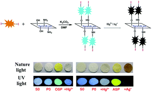 Reaction-based fluorescent silk probes with high sensitivity and selectivity to Hg2+ and Ag+ ...