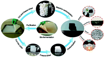 Recent advances on the bacterial cellulose-derived carbon aerogels ...