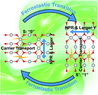 First-principles prediction of ferroelasticity tuned anisotropic ...