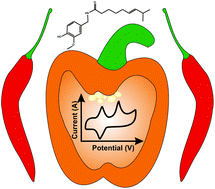 Electroanalytical overview: the pungency of chile and chilli products ...