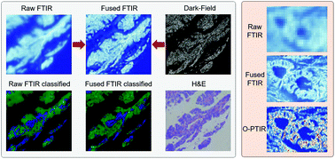 Multi-modal image sharpening in fourier transform infrared (FTIR ...