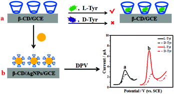Silver nanoparticle driven signal amplification for electrochemical ...