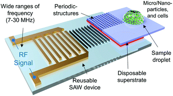 Low-cost laser-cut patterned chips for acoustic concentration of micro ...