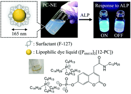 Enzyme-responsive fluorescent nanoemulsion based on lipophilic dye ...