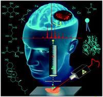 Chemical analysis of the human brain by imaging mass spectrometry ...