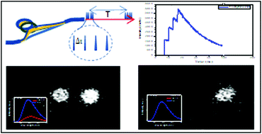 A novel approach to imaging and visualization of minute amounts of DNA ...