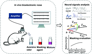 An in vivo bioelectronic nose for possible quantitative evaluation of ...