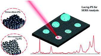 Surface-enhanced Raman scattering (SERS) spectroscopy on localized ...