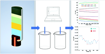 Development and comparison of various rod-shaped mini-reference ...